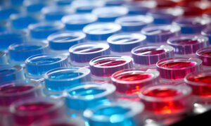 区分：E3 BRAF V600E変異タンパク免疫染色（免疫抗体法）病理組織標本作製 D023 微生物核酸同定・定量検査 区分：E1（既存）SARS-CoV-2・インフルエンザ・RSウイルス核酸 ...